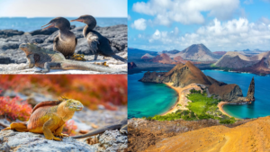 ECUADOR: The Closest Country to the Moon and the Sun – Nabeel Rashid ...